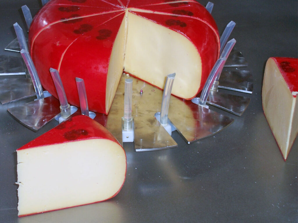 CS-3SA | Industrial Dairy Portioning | FOODTOOLS Equipment