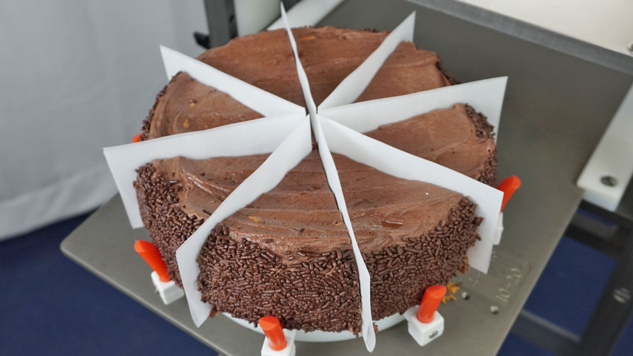 ROUND PRODUCT PORTIONING | FoodTools Equipment