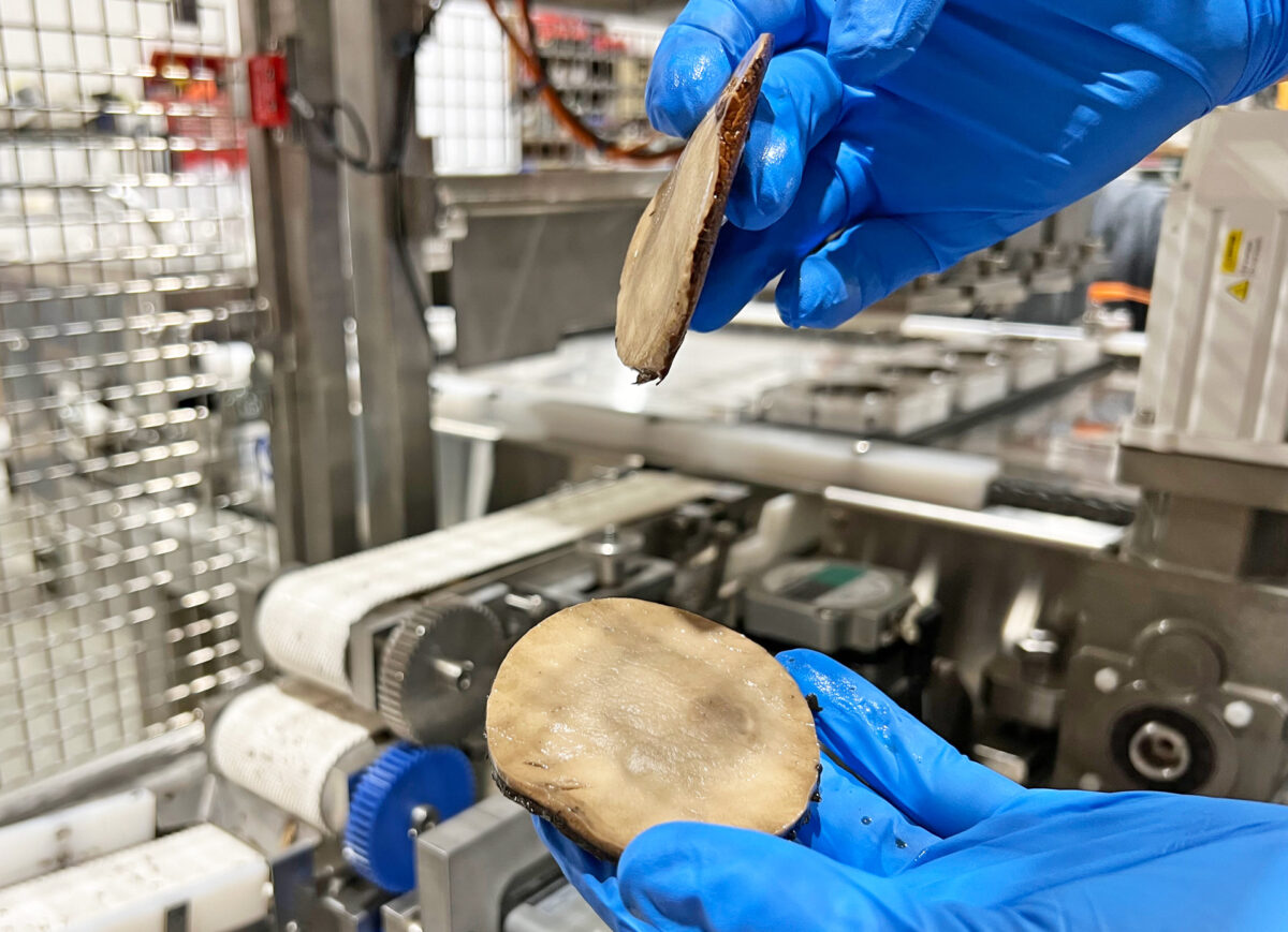 The Mushroom Cutting Machine by FoodTools - Food Equipment